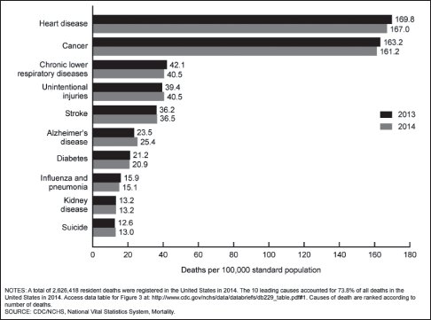 Pathological Manifestations Of Aging Oncohema Key